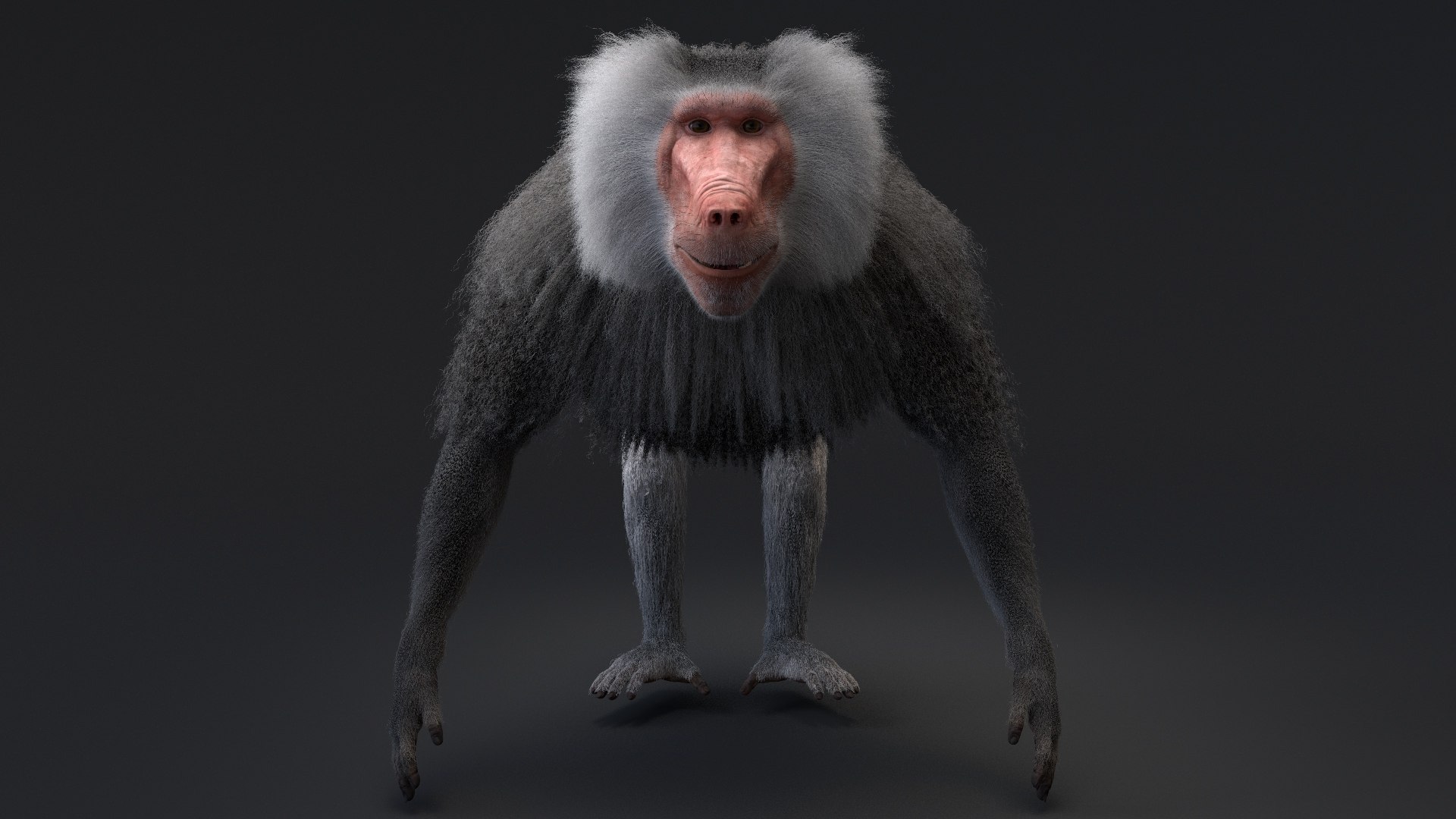 Realistic Baboon 3D Model - TurboSquid 1499122