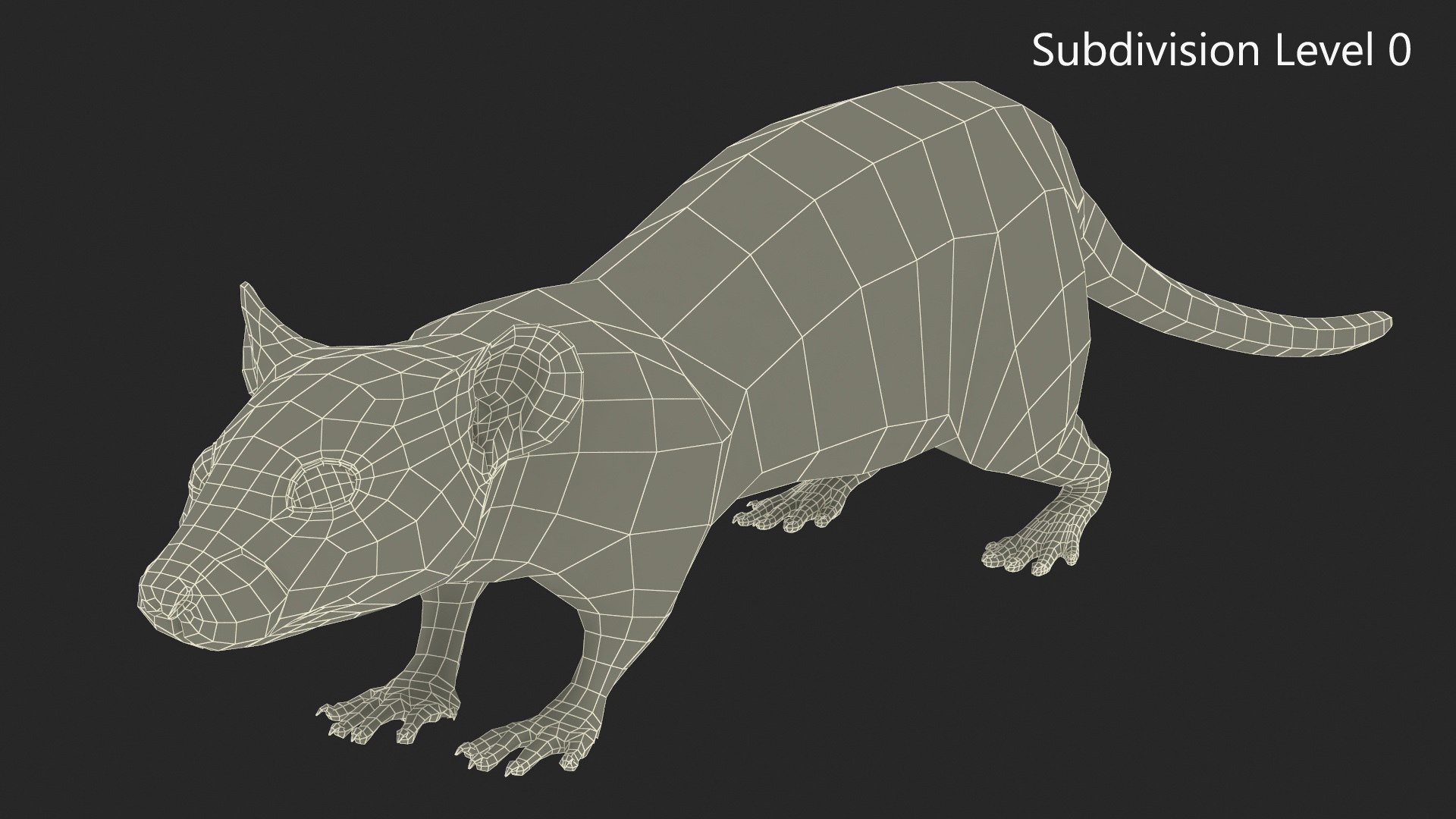 Lifelike Rodent White Rat 3D Model - TurboSquid 2302315