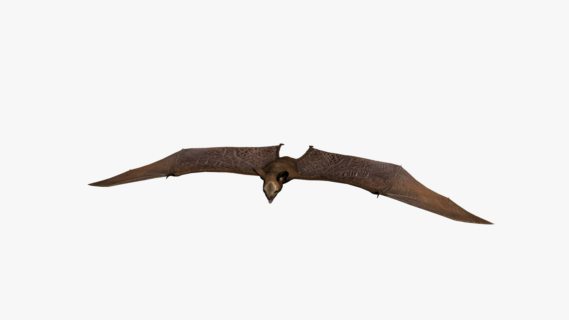 3D bat - TurboSquid 438524