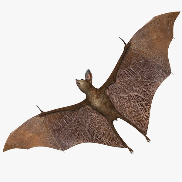 Land Mammals Jurassic STL Models for Download | TurboSquid