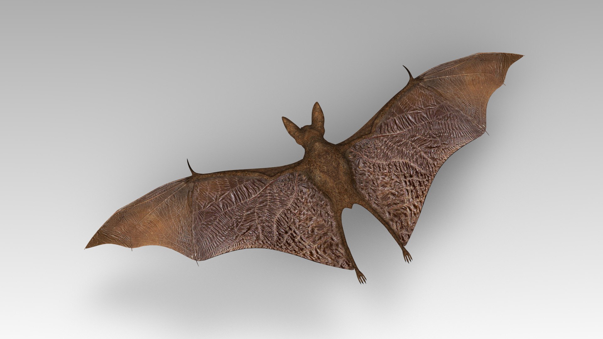 3D bat - TurboSquid 438524
