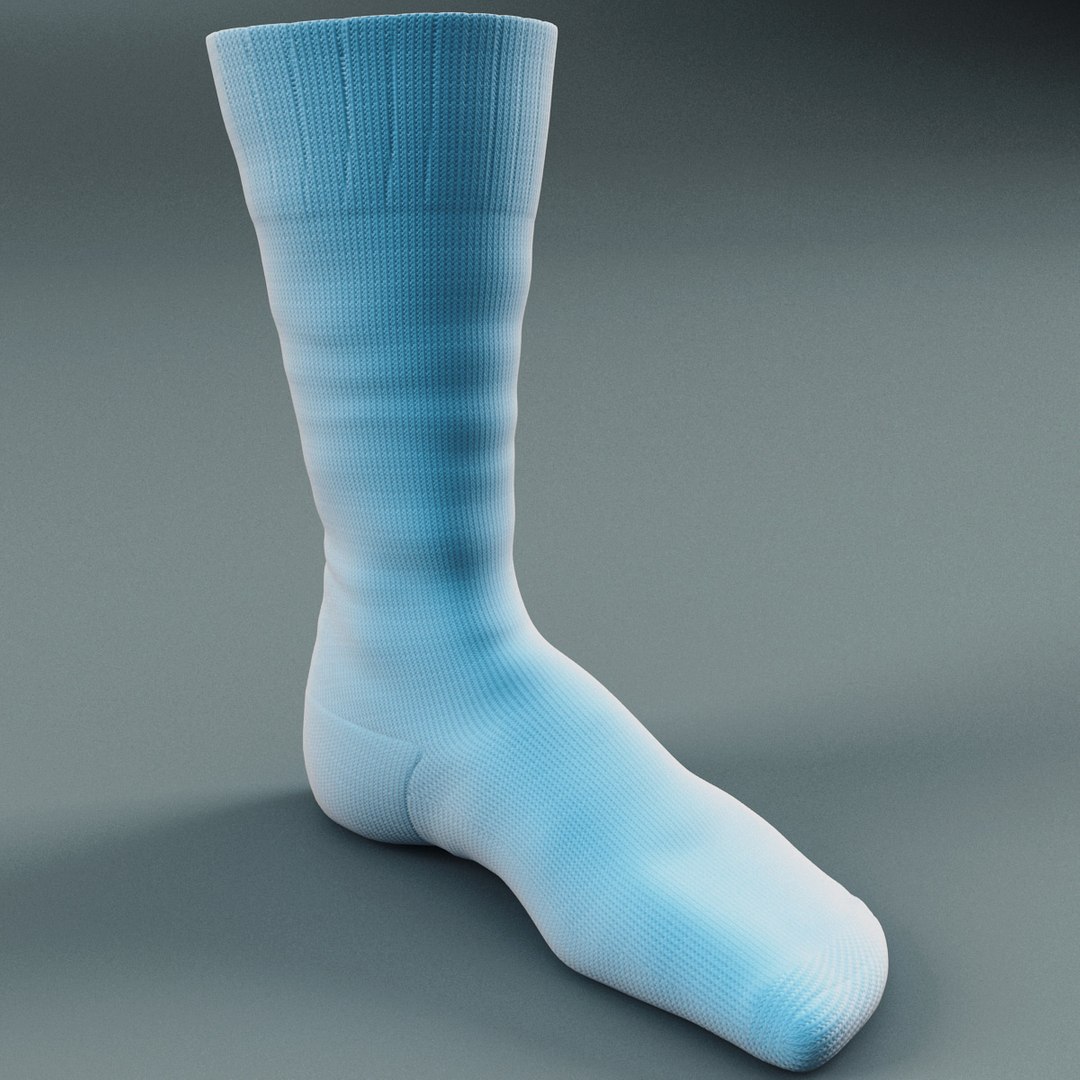 socks v2 3d model