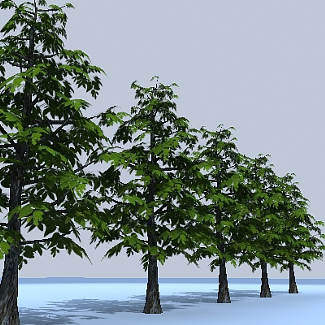 3d Tree Model