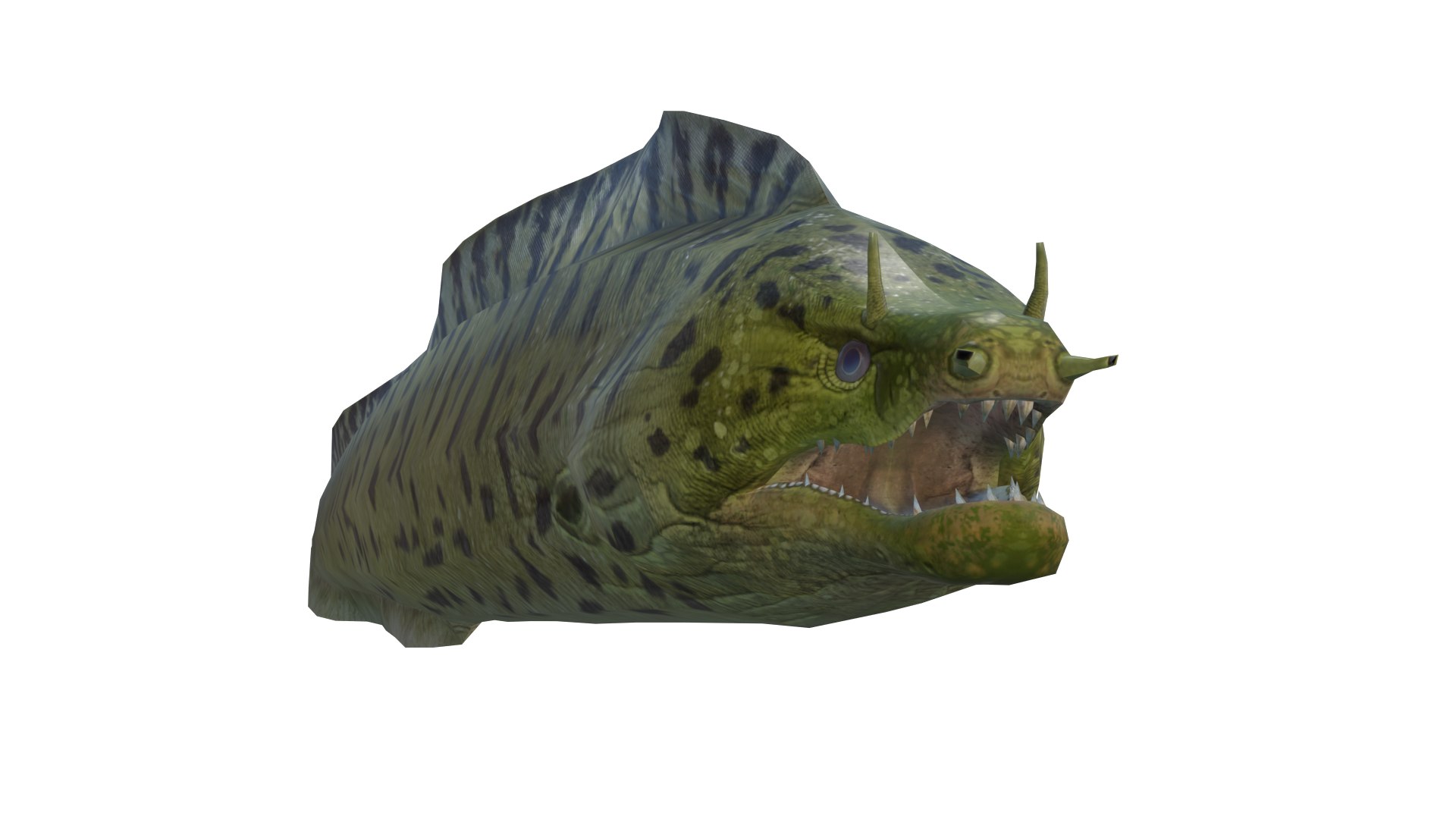 3D Green Moray Eel 3D Model - TurboSquid 2310638