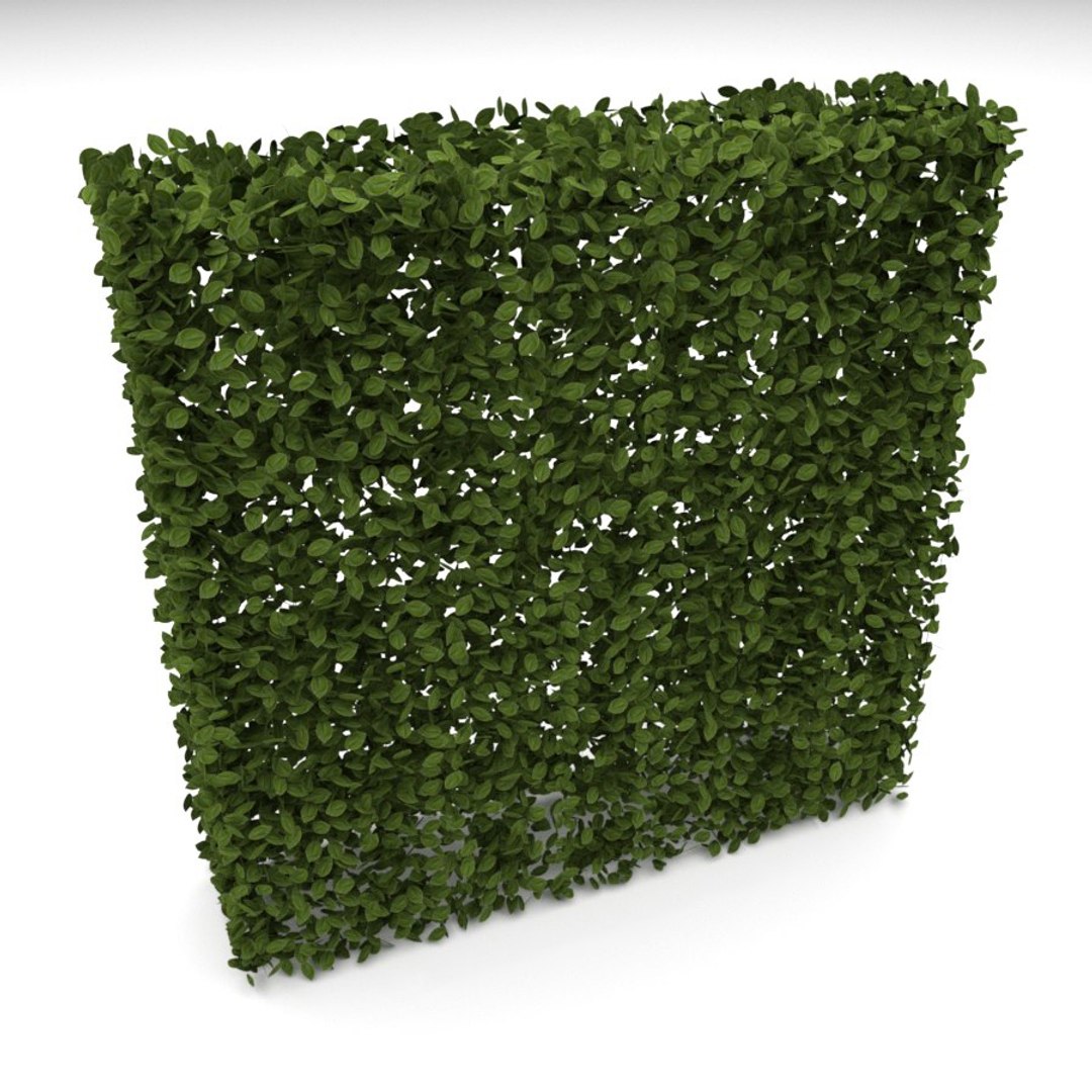 3D hedge - TurboSquid 1599848