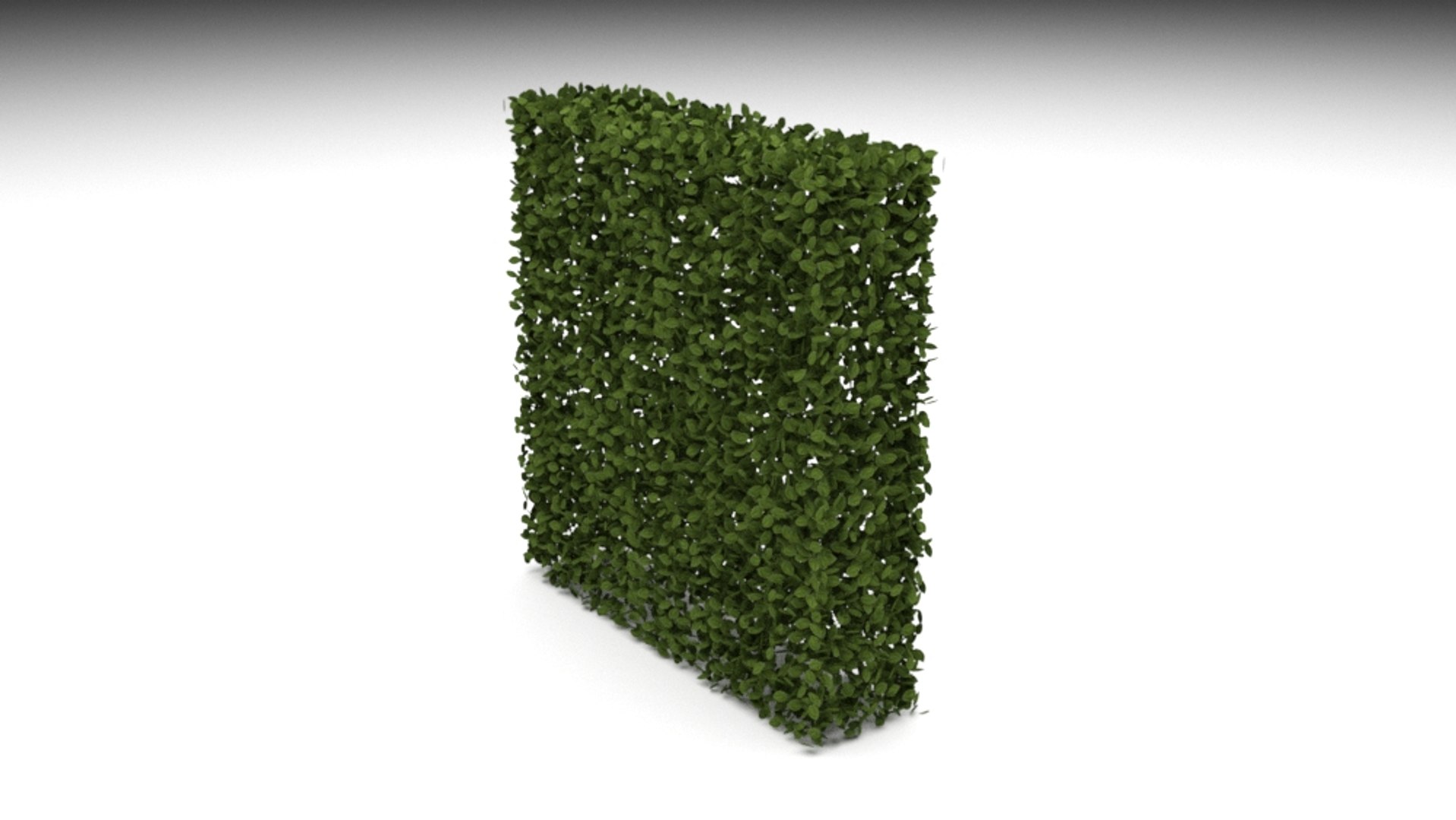 3D hedge - TurboSquid 1599848