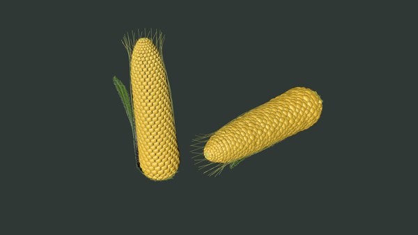 Corn 3D model - TurboSquid 1710846