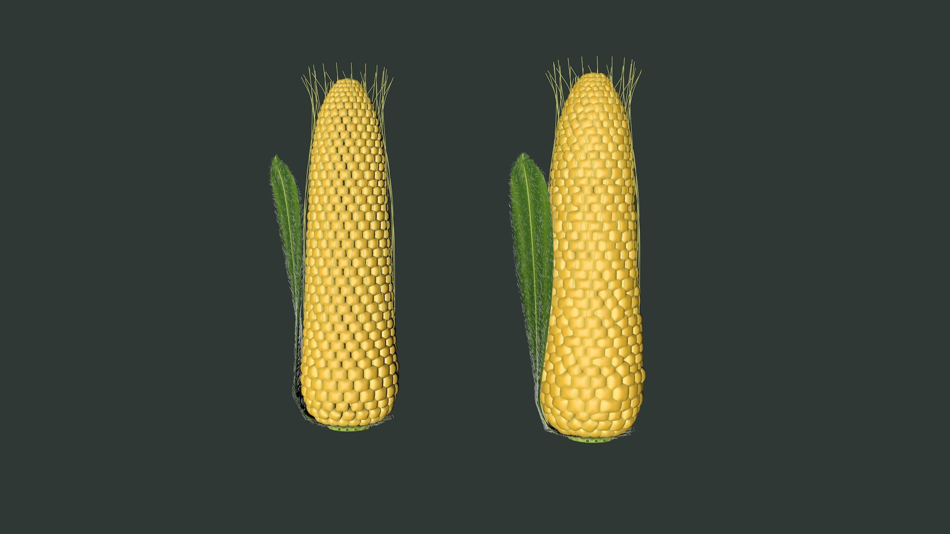 Corn 3D Model - TurboSquid 1710846