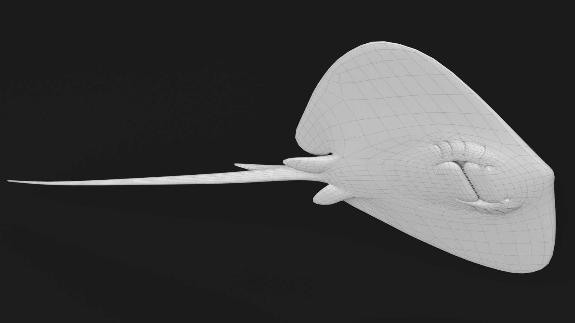 3D Stingray Model - TurboSquid 2239082