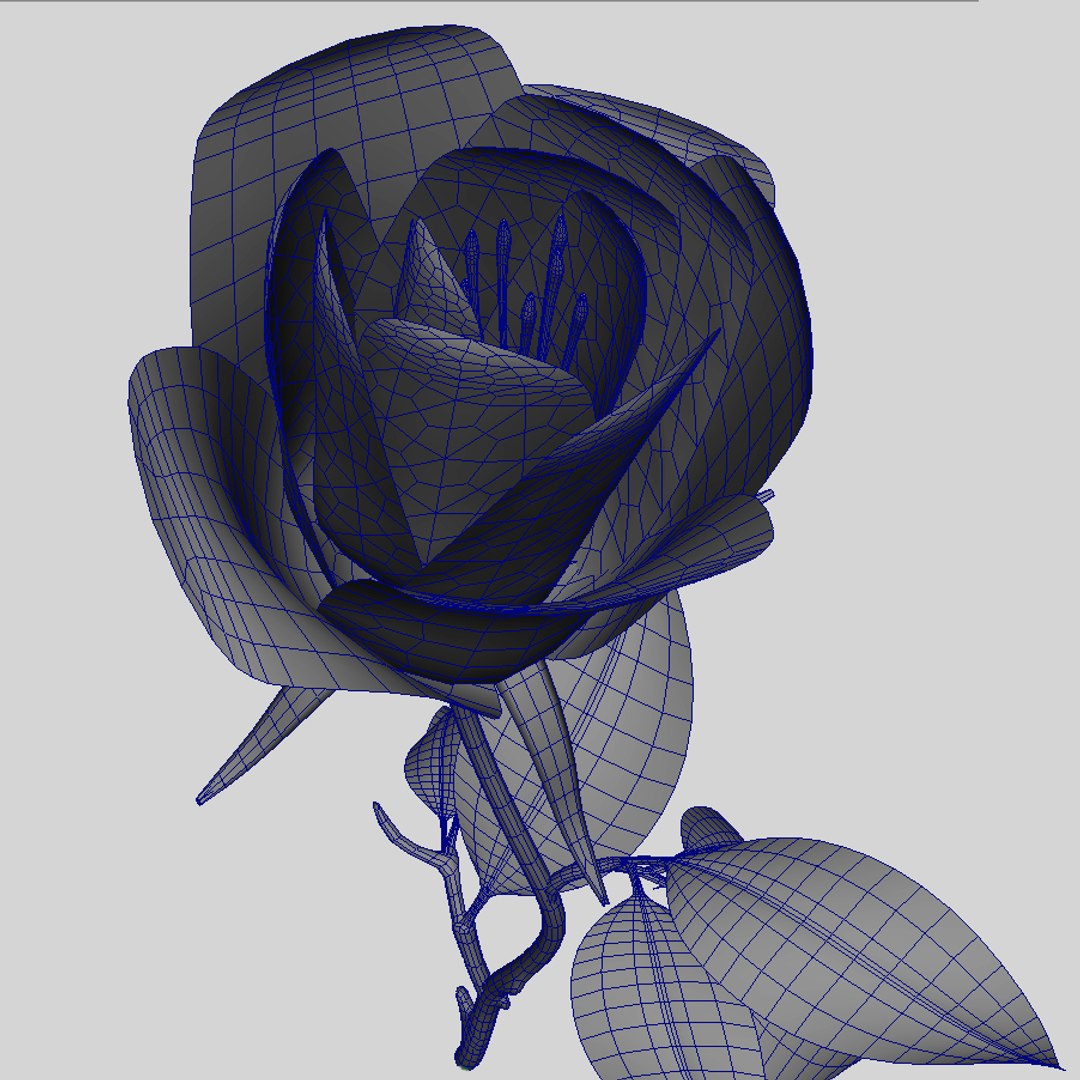 rose flower branch 3d model