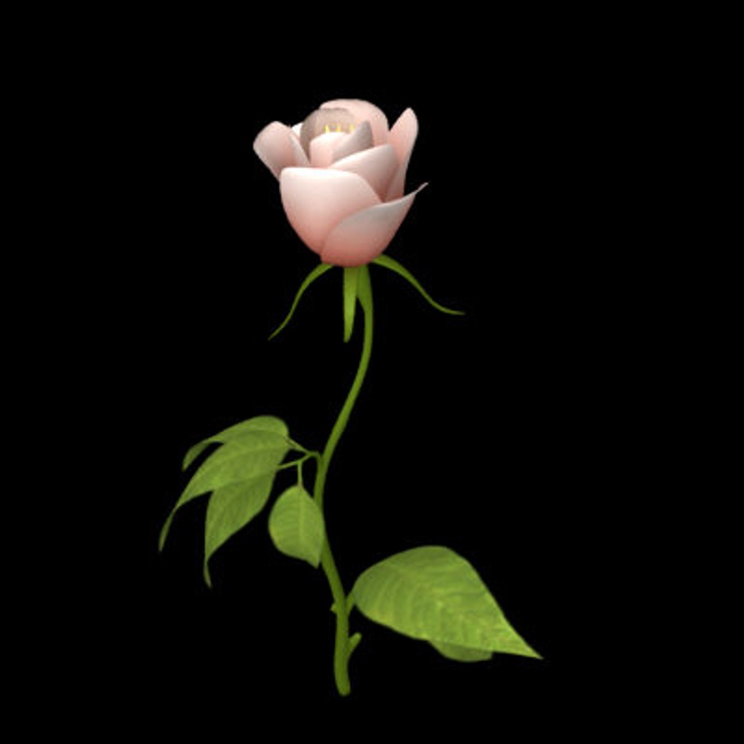 rose flower branch 3d model