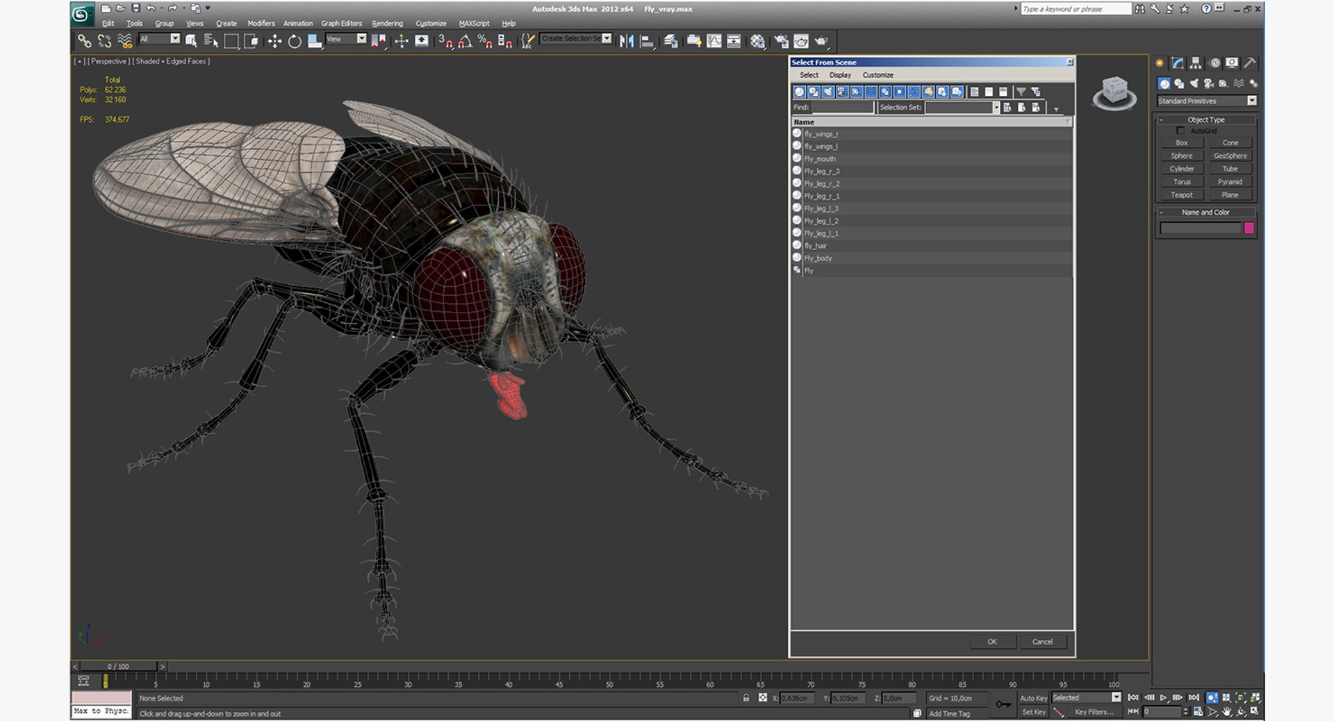 3d fly realistic model
