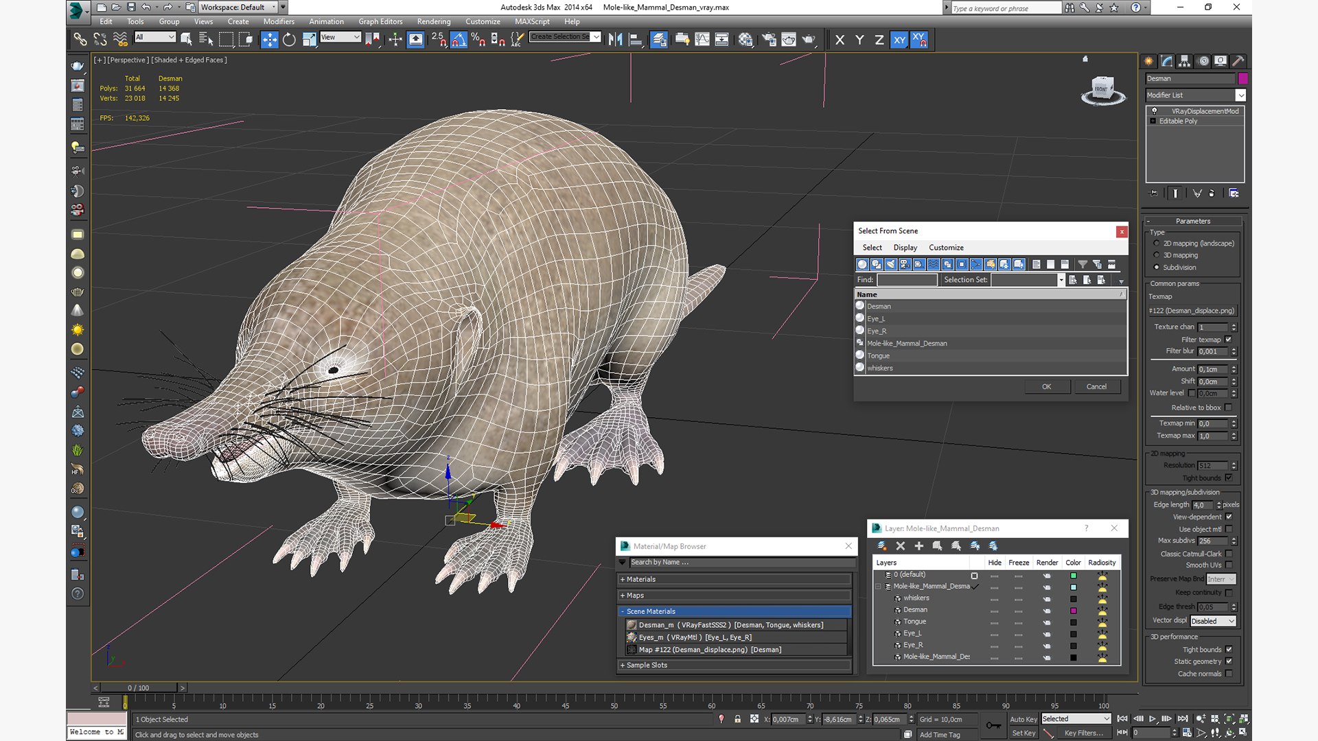 Mole-like Mammal Desman 3D Model - TurboSquid 2193876