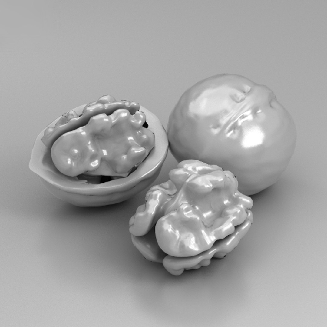 Walnut Nut 3D Model - TurboSquid 1344389