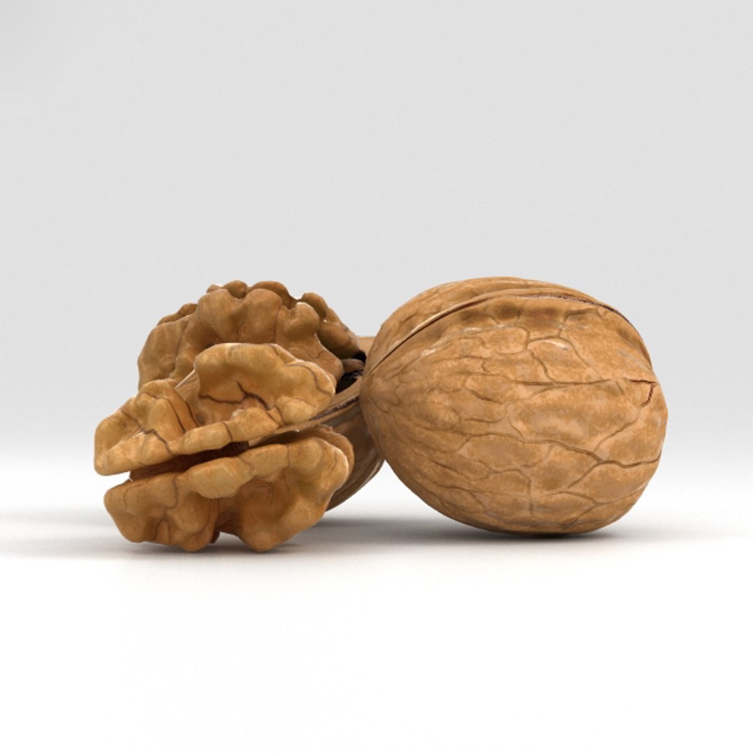 Walnut Nut 3D Model - TurboSquid 1344389