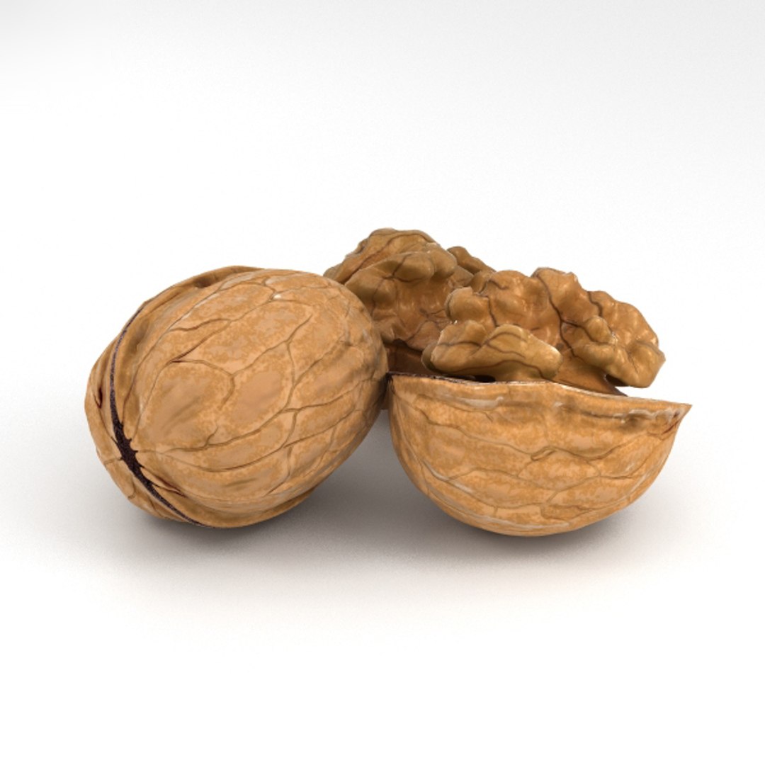 Walnut Nut 3D Model - TurboSquid 1344389