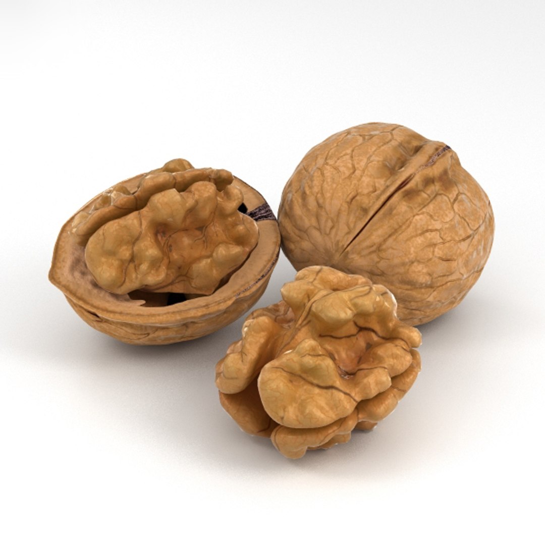 Walnut Nut 3D Model - TurboSquid 1344389