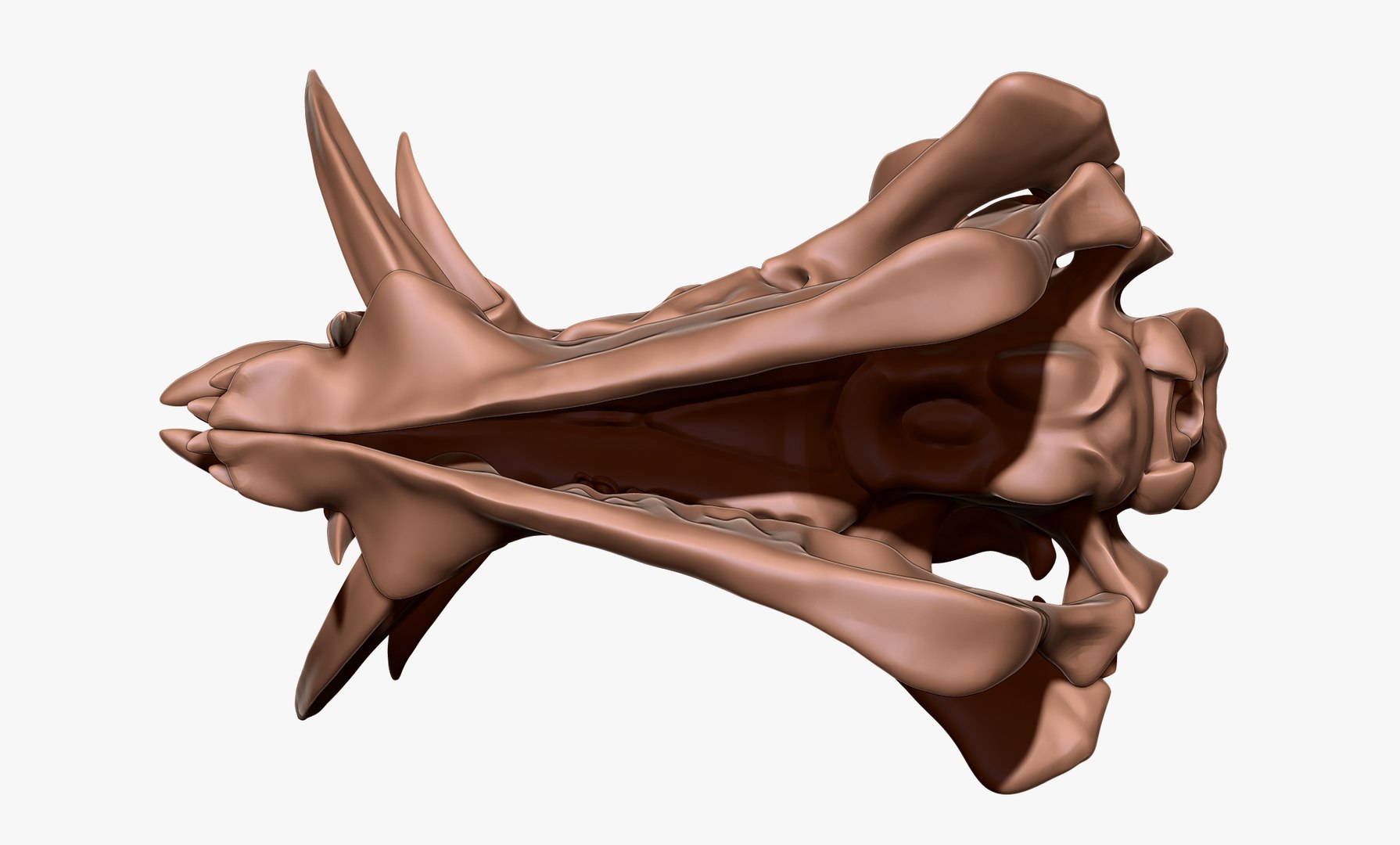 3D Boar Skull - CNC And 3D Print Model - TurboSquid 2029635