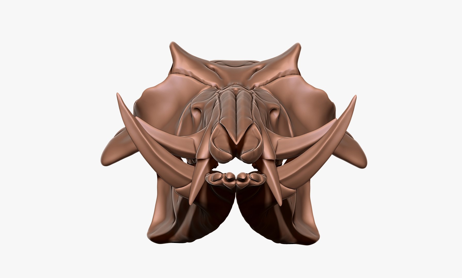 3D Boar Skull - CNC And 3D Print Model - TurboSquid 2029635