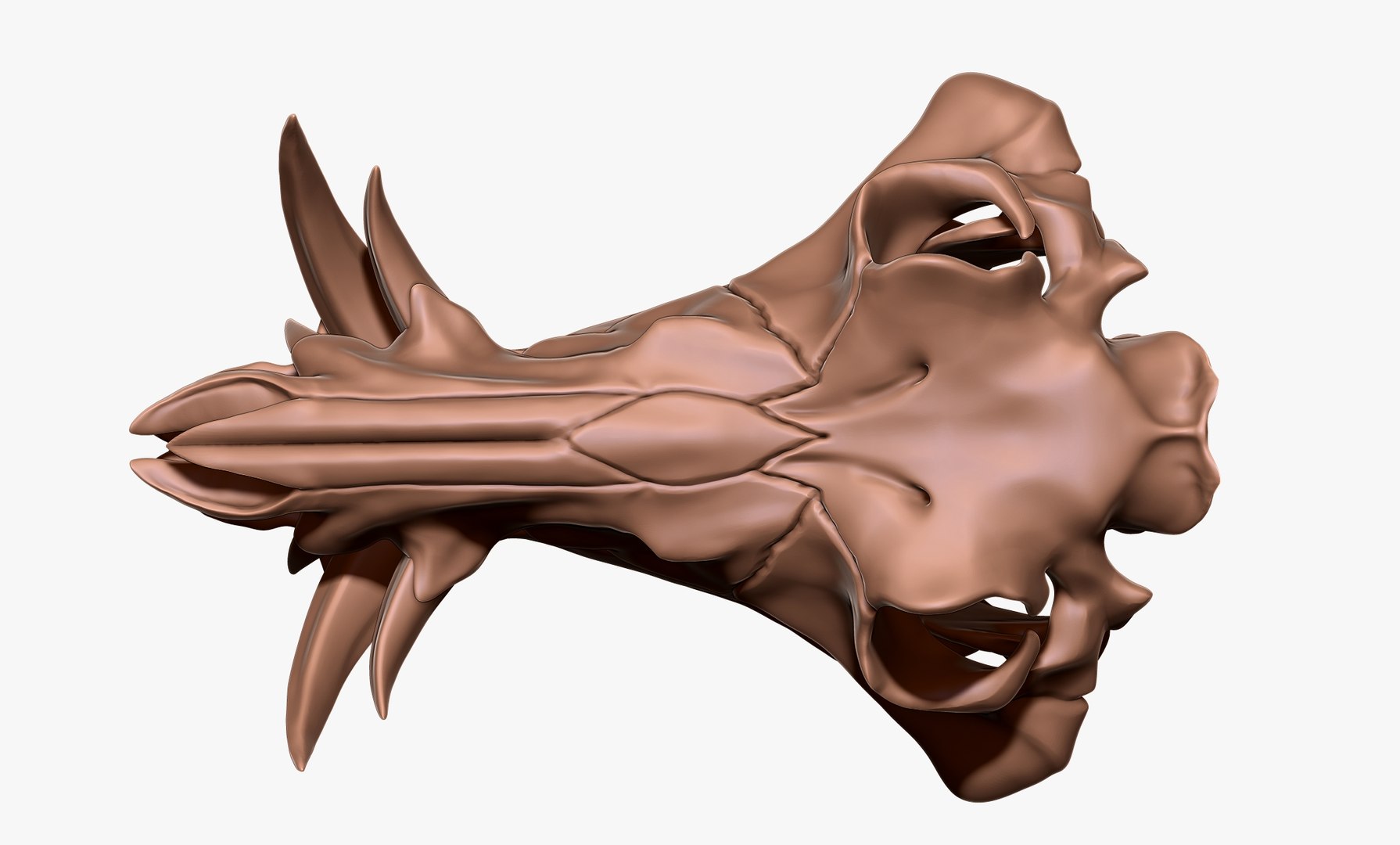 3D Boar Skull - CNC And 3D Print Model - TurboSquid 2029635