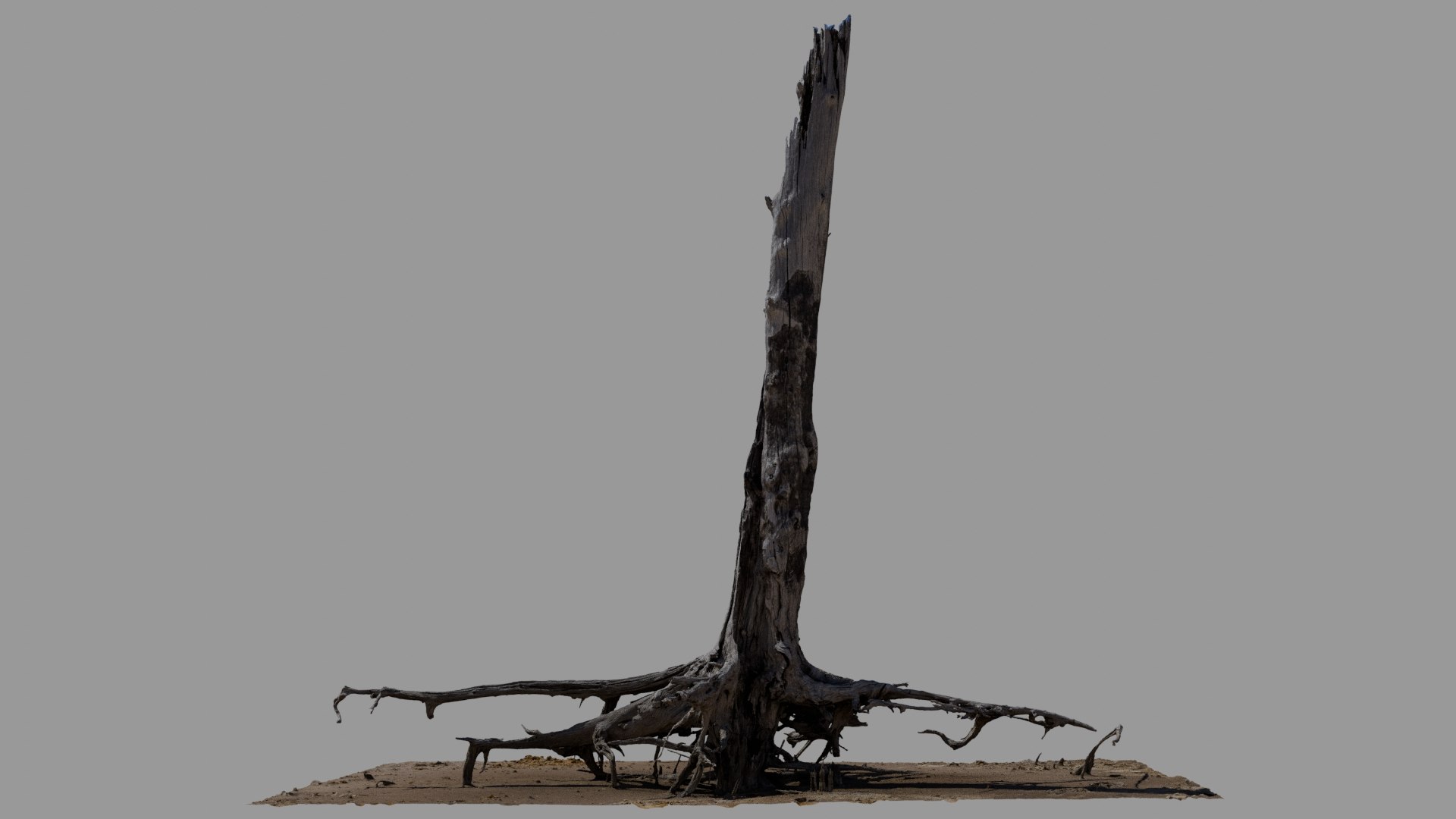 3D Dead Tree 023 Model - TurboSquid 2371324