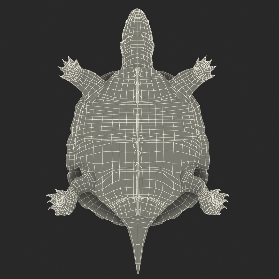 3ds Max Pond Slider Turtle