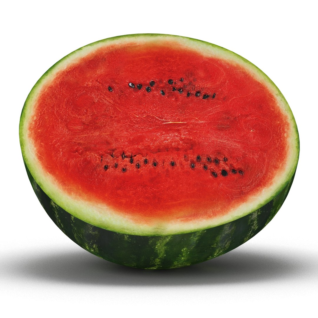 3d Watermelon Cross Section Model