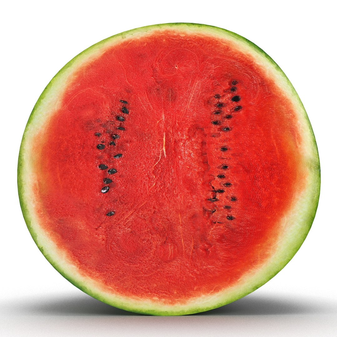 3d watermelon cross section model