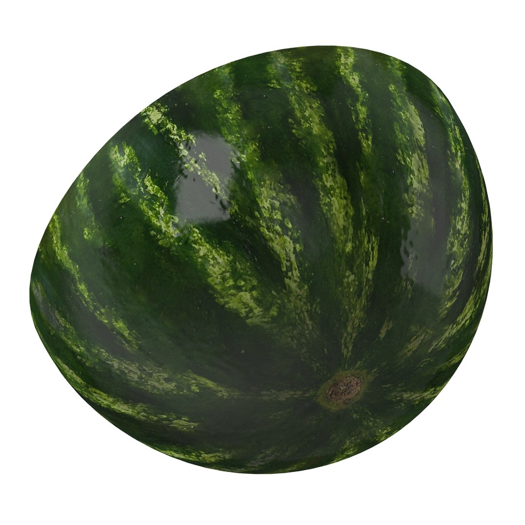 3d Watermelon Cross Section Model