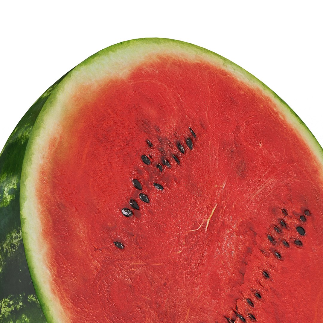 3d Watermelon Cross Section Model