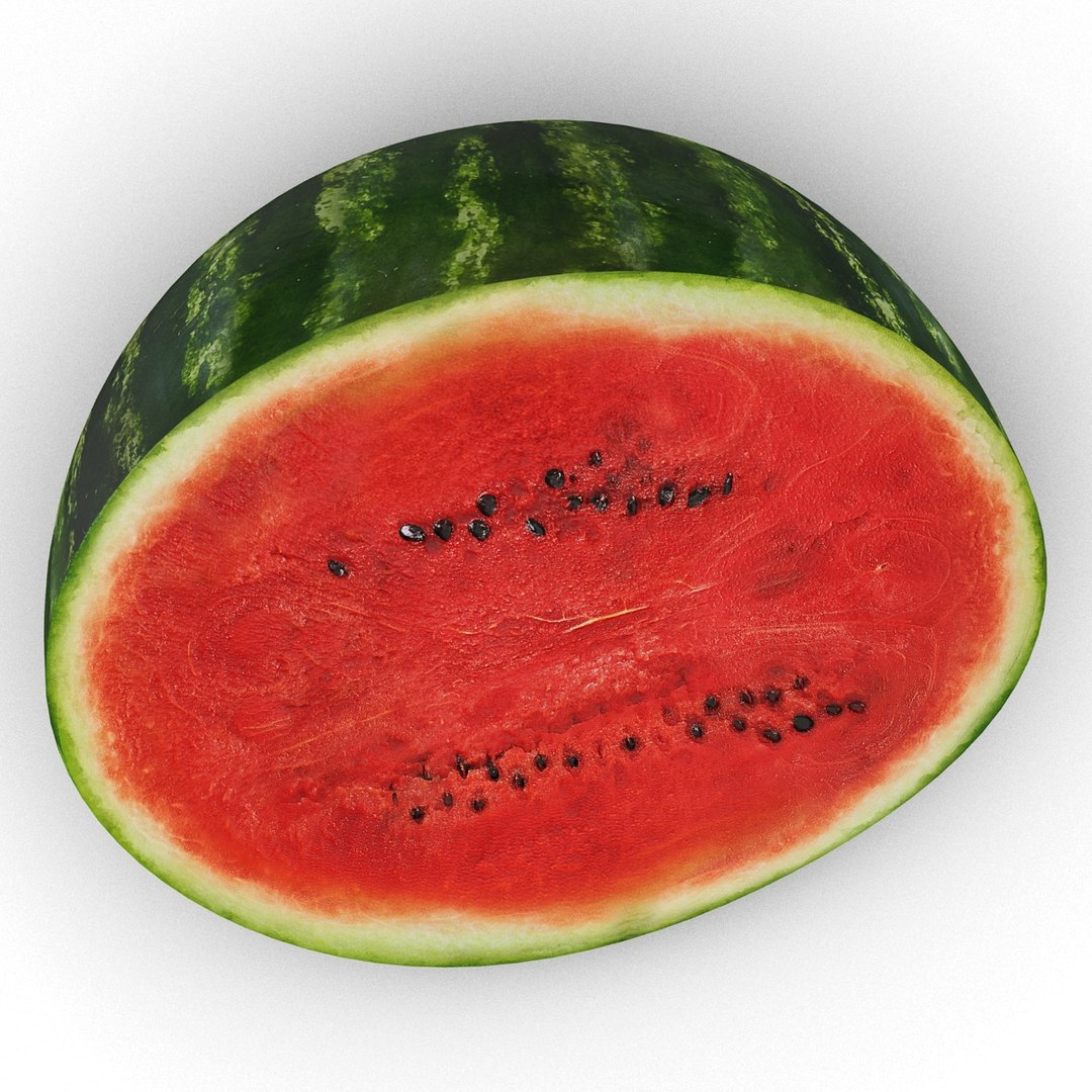 3d Watermelon Cross Section Model