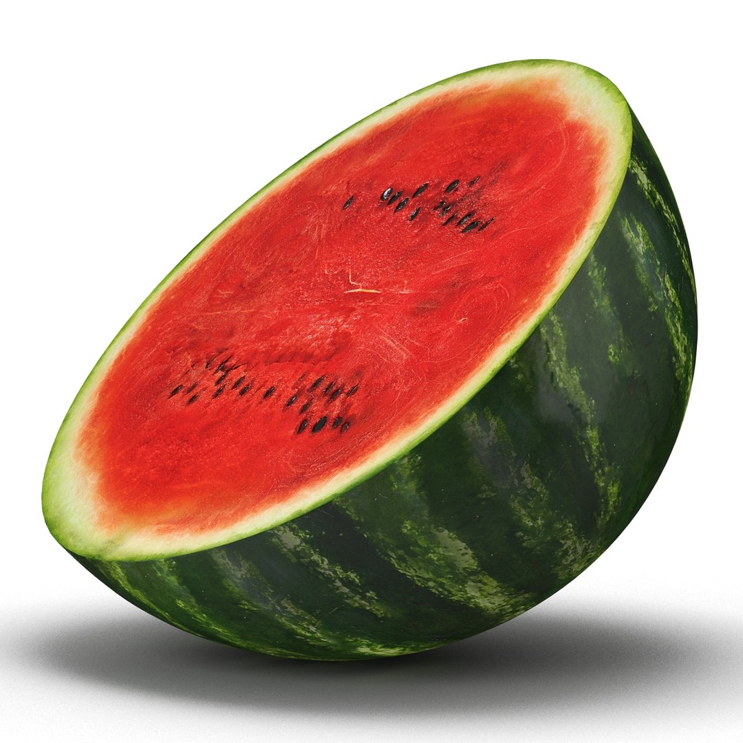 3d Watermelon Cross Section Model