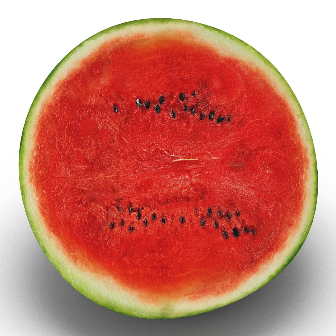 3d Watermelon Cross Section Model