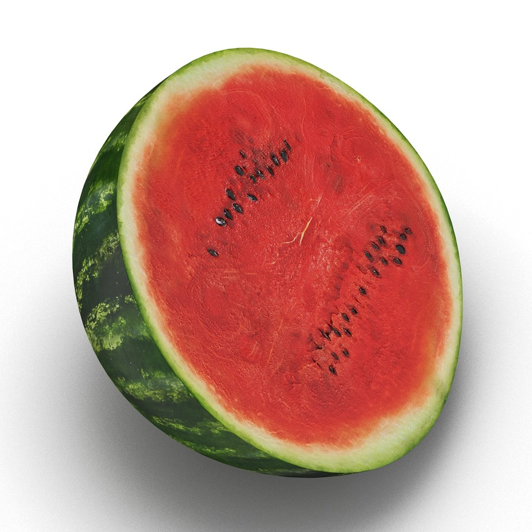 3d Watermelon Cross Section Model