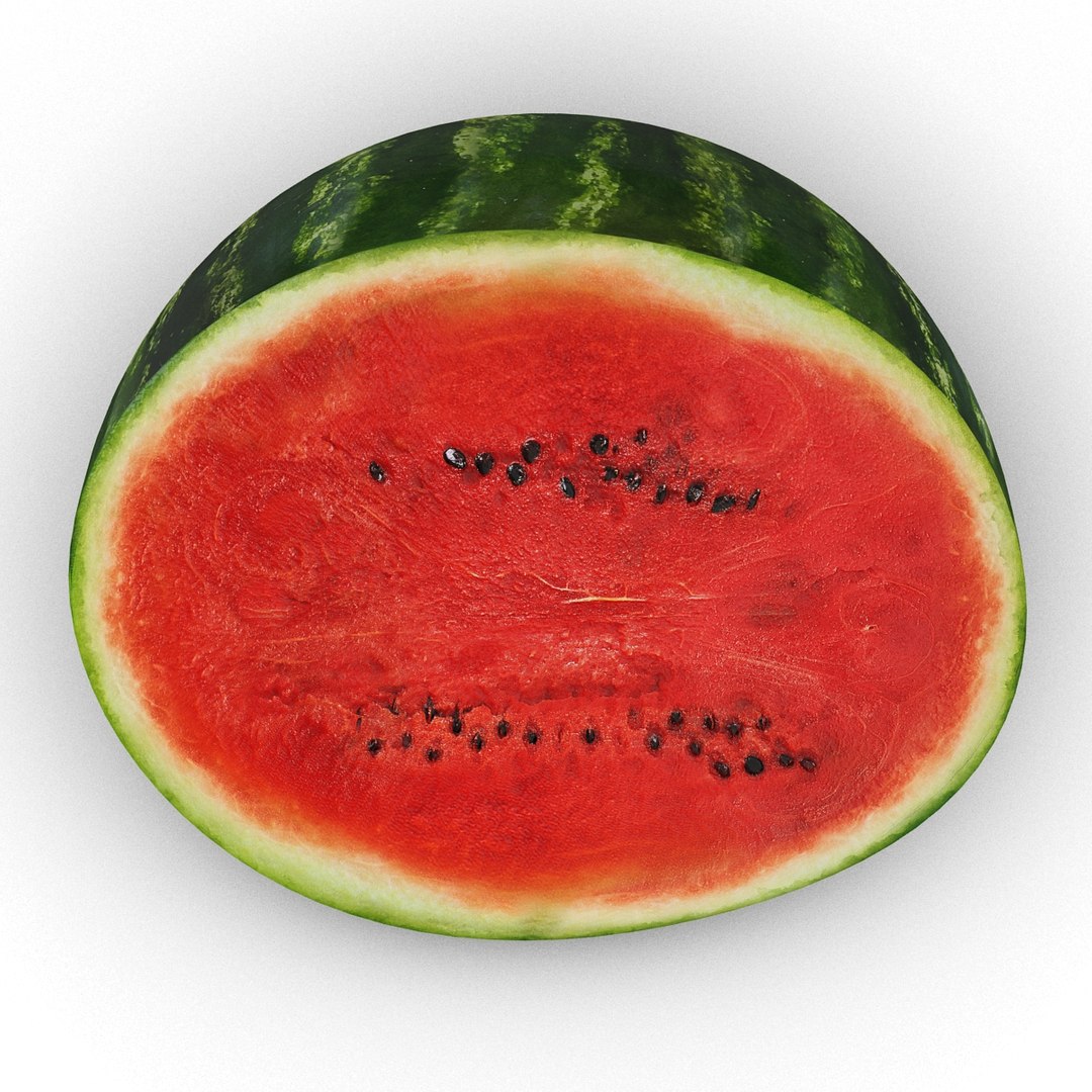 3d Watermelon Cross Section Model