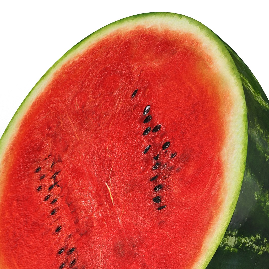 3d Watermelon Cross Section Model