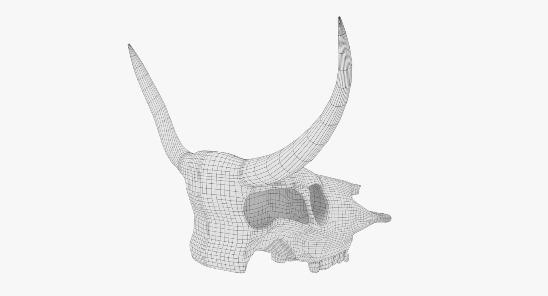 3D Model Cow Head - TurboSquid 1370263
