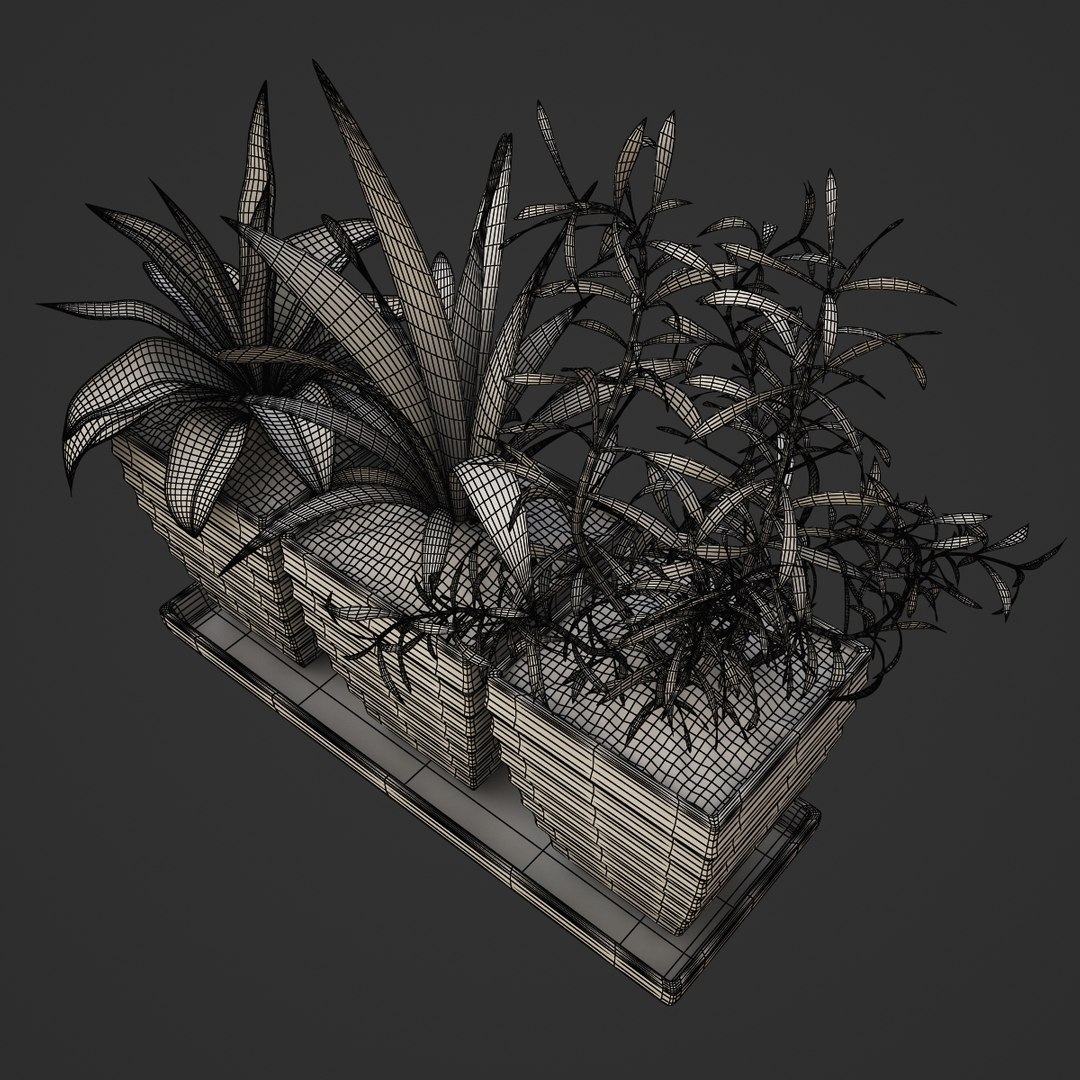plants set 3d max