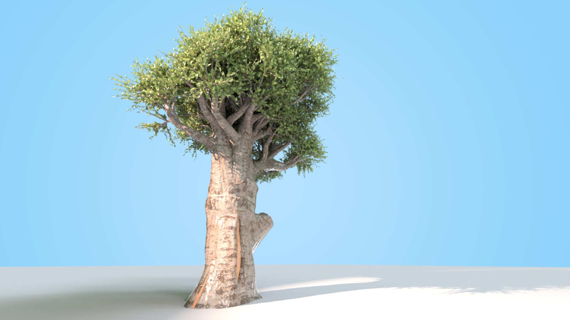 Big Tree 2 Model - TurboSquid 1821511