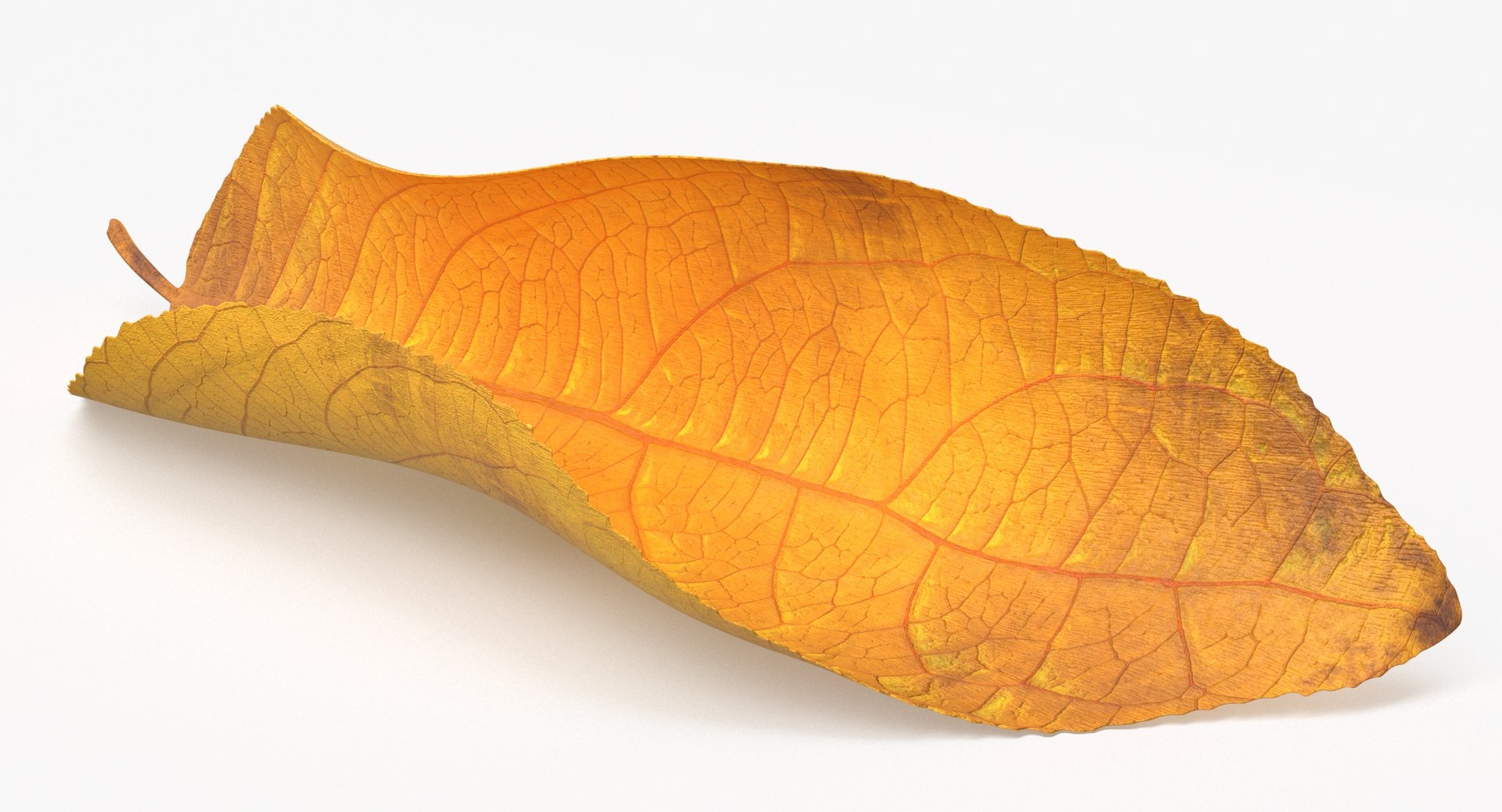 3D Prop Autumn Leaves Type 04 Model - TurboSquid 2151094