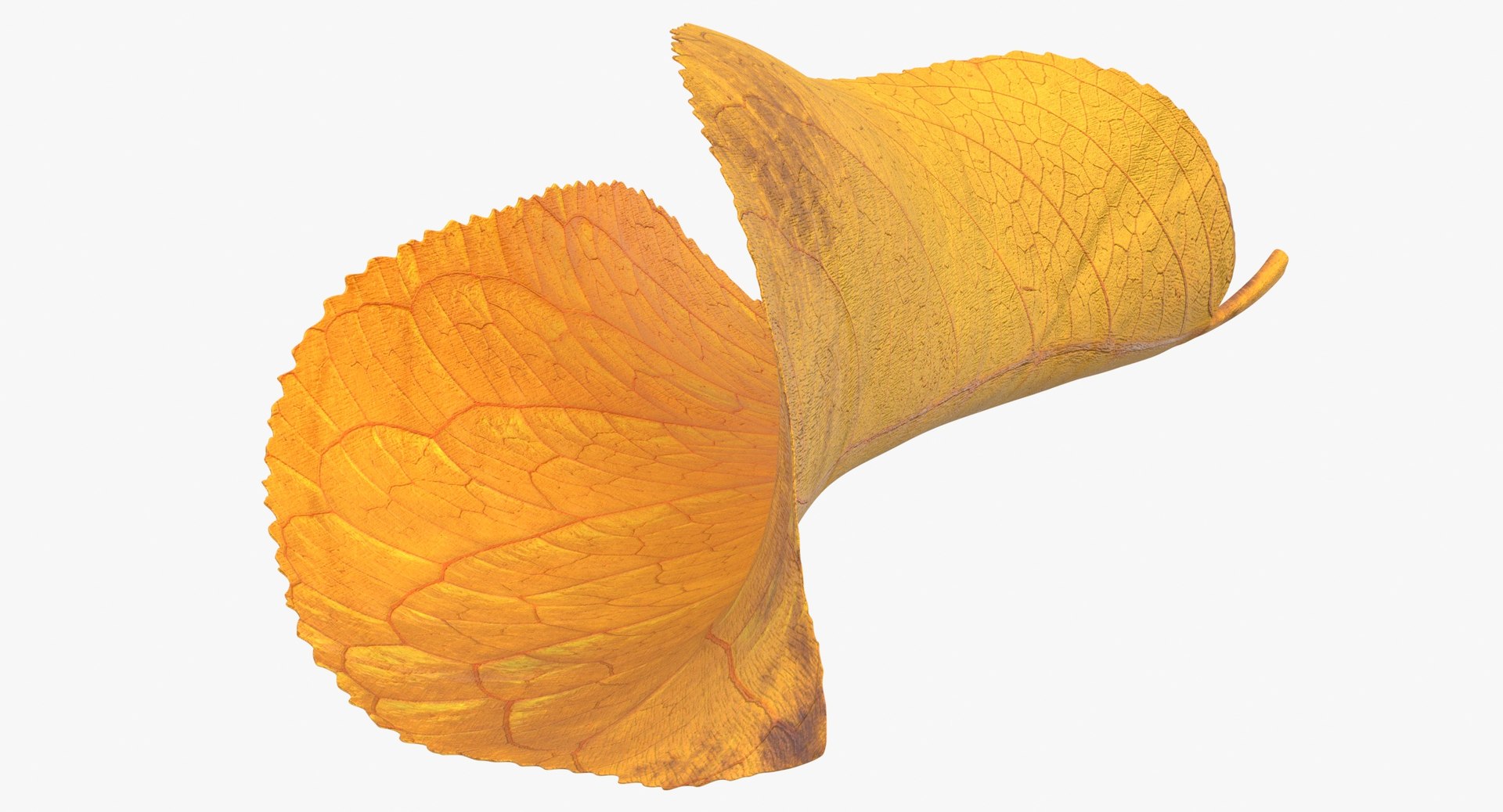 3D Prop Autumn Leaves Type 04 Model - TurboSquid 2151094
