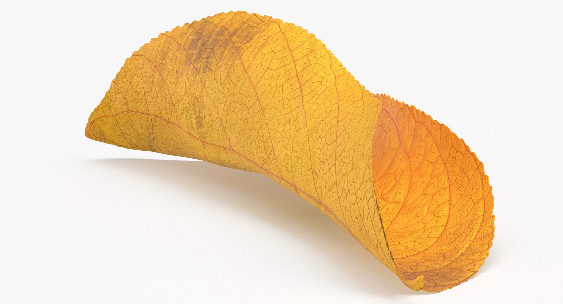 3D Prop Autumn Leaves Type 04 Model - TurboSquid 2151094