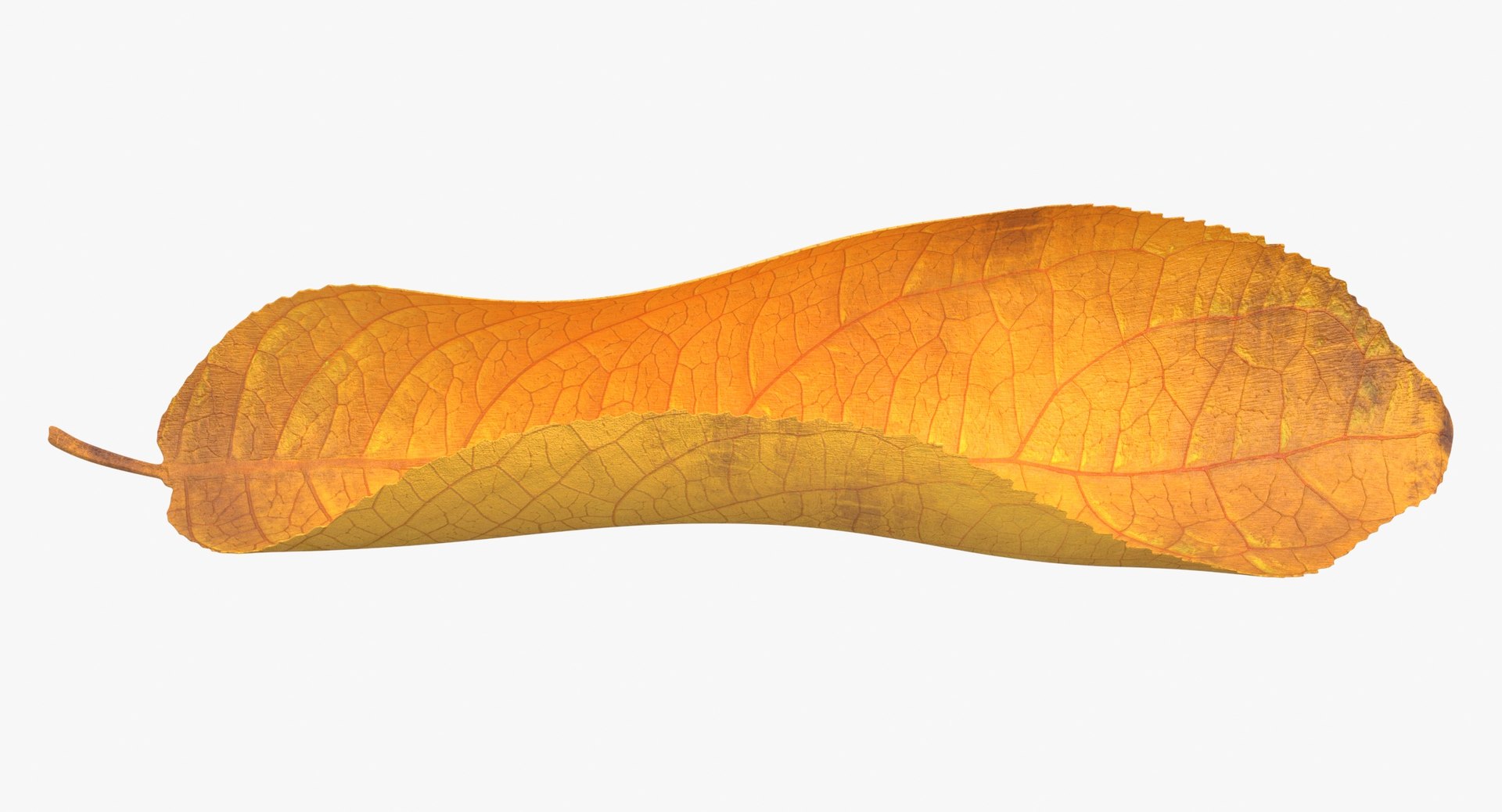 3D Prop Autumn Leaves Type 04 Model - TurboSquid 2151094