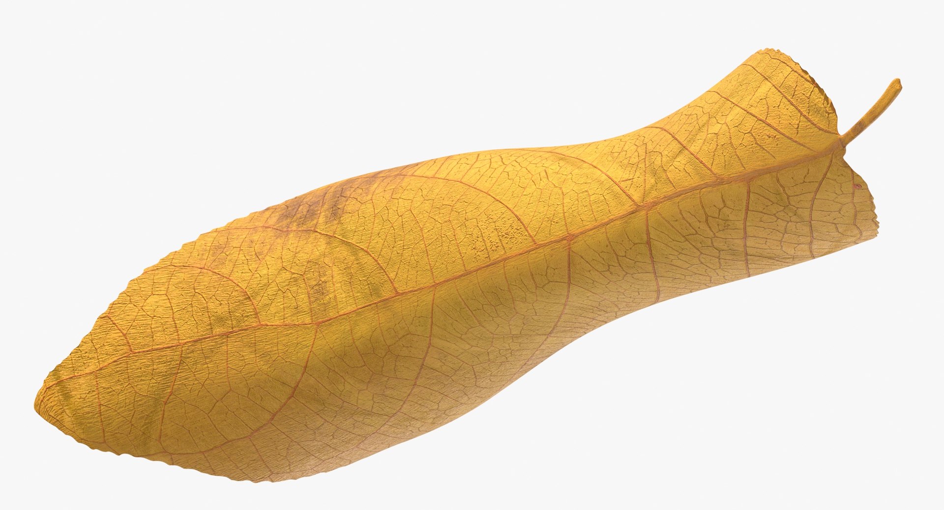 3D Prop Autumn Leaves Type 04 Model - TurboSquid 2151094