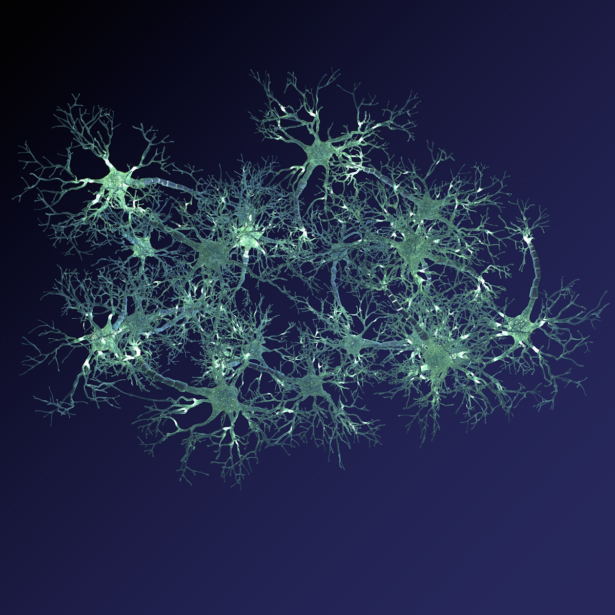 3d model neural network