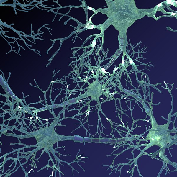 3d model neural network