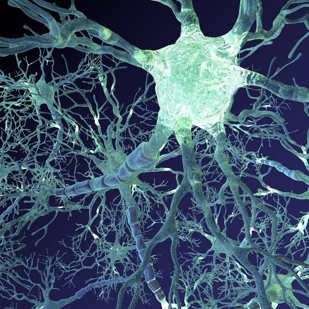 3d model neural network