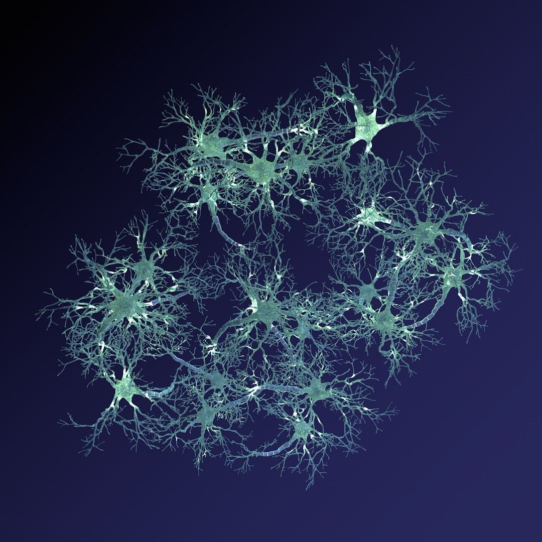 3d model neural network