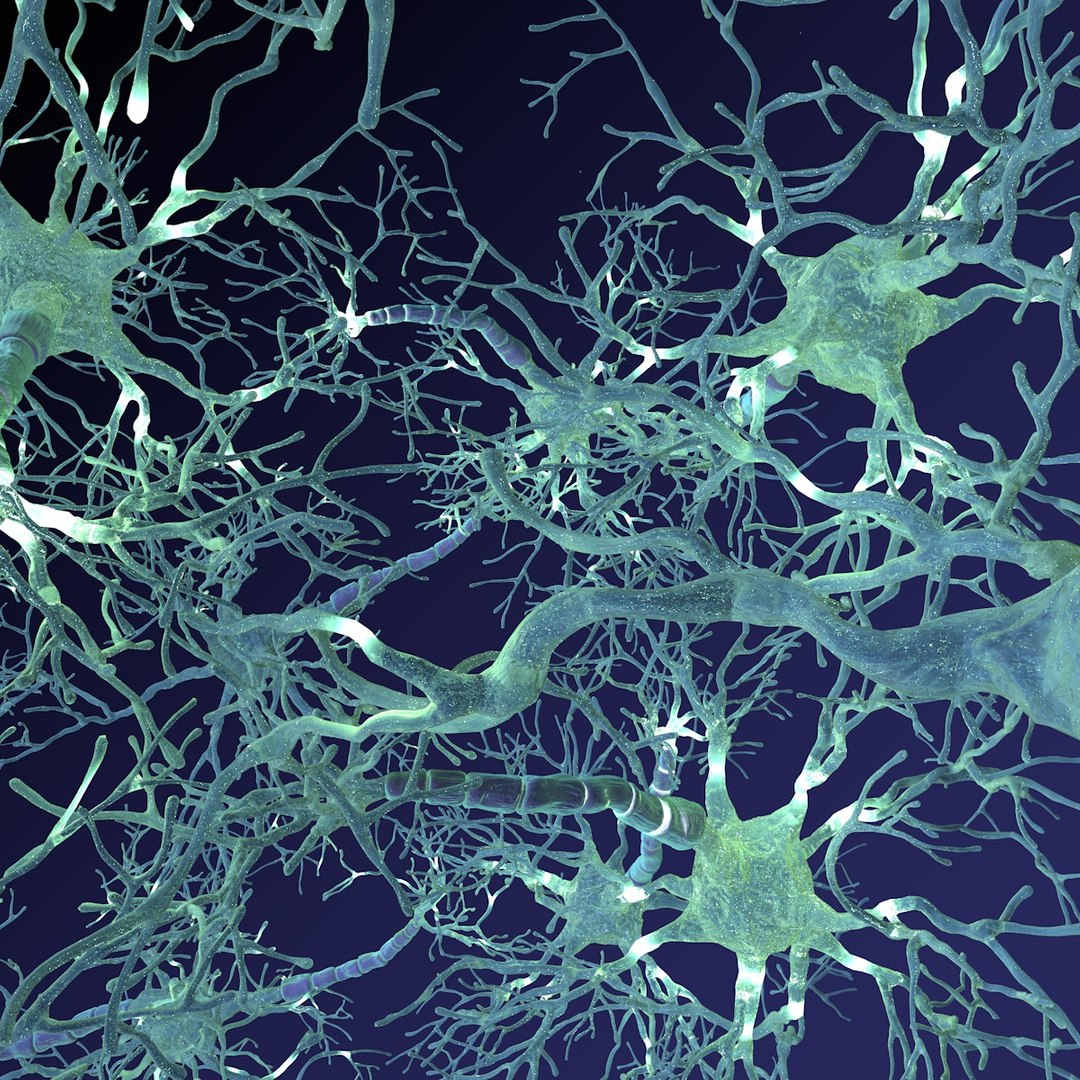 3d model neural network