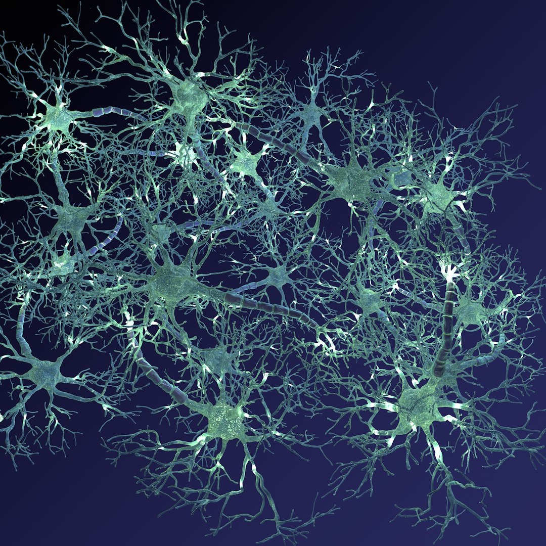 3d model neural network